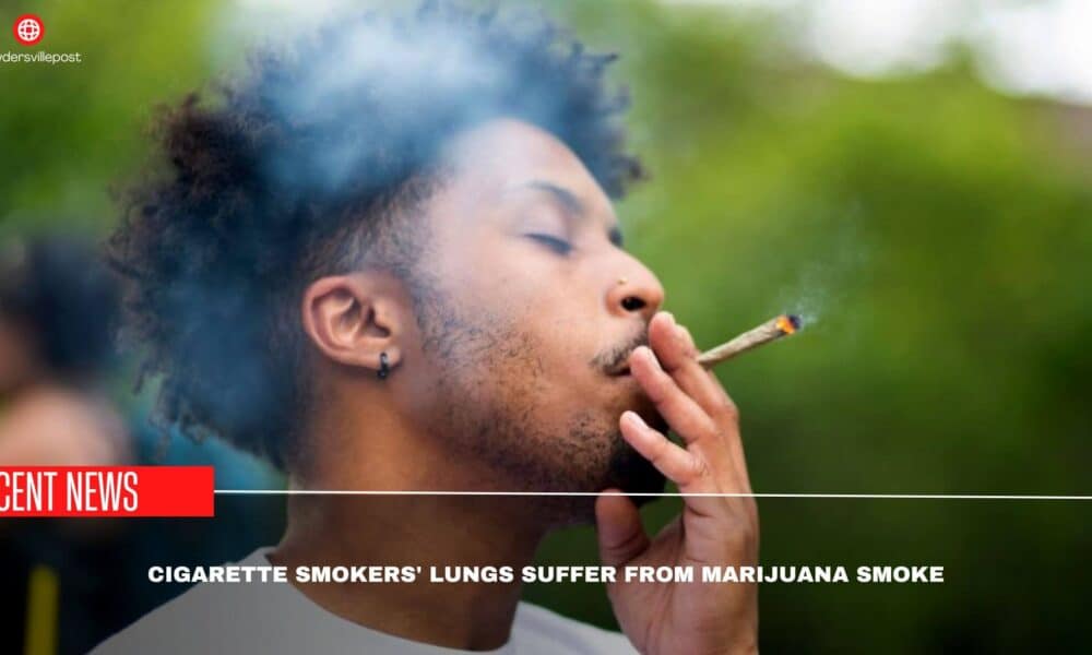 Cigarette Smokers' Lungs Suffer From Marijuana Smoke- Study Finds Cigarette Smokers' Lungs Suffer From Marijuana Smoke- Study Finds
